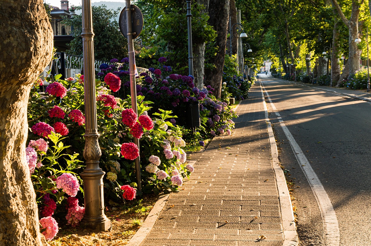 Hydraulic Festival Fire Path Green - Free photo on Pixabay - Pixabay