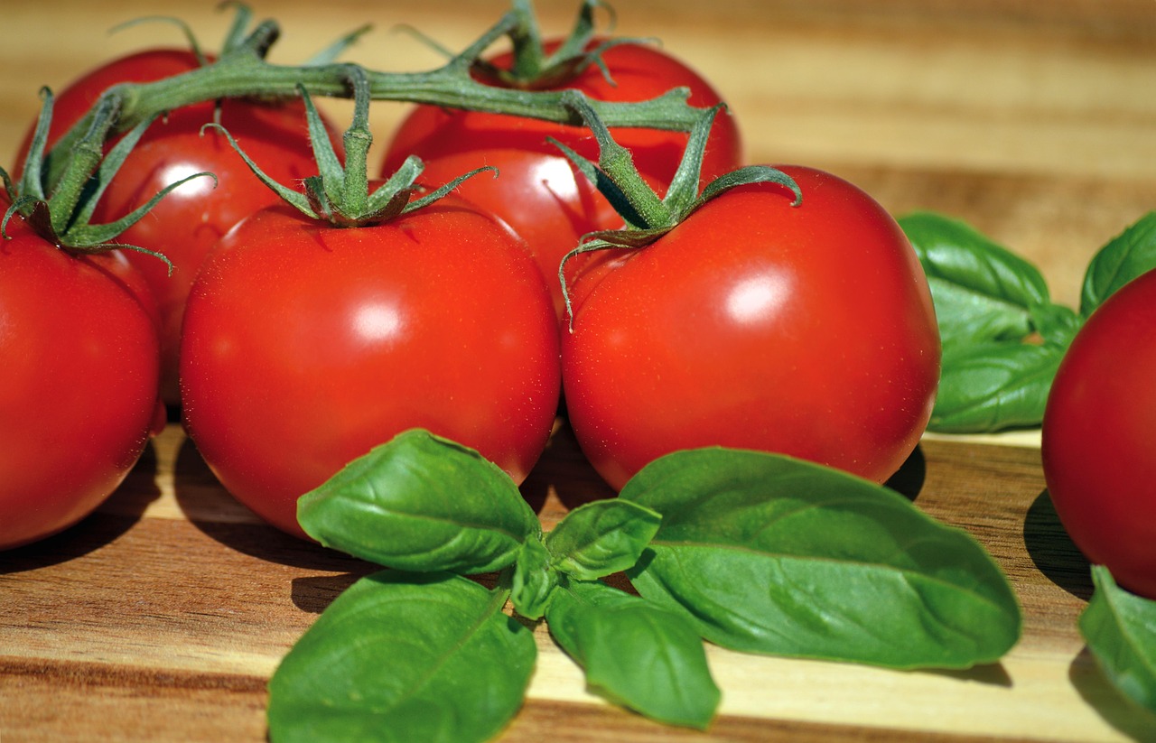 Tomatoes Basil Red - Free photo on Pixabay
