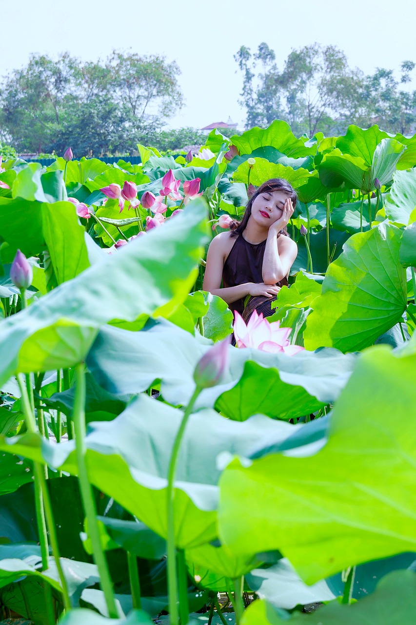 Women Lake Lotus Flower - Free photo on Pixabay - Pixabay