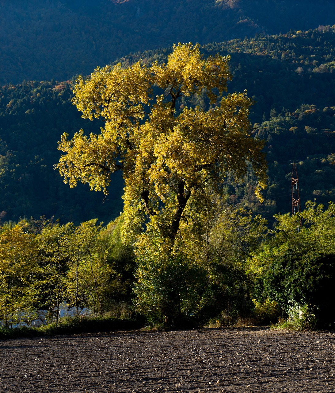 Countryside Trees Storo - Free photo on Pixabay