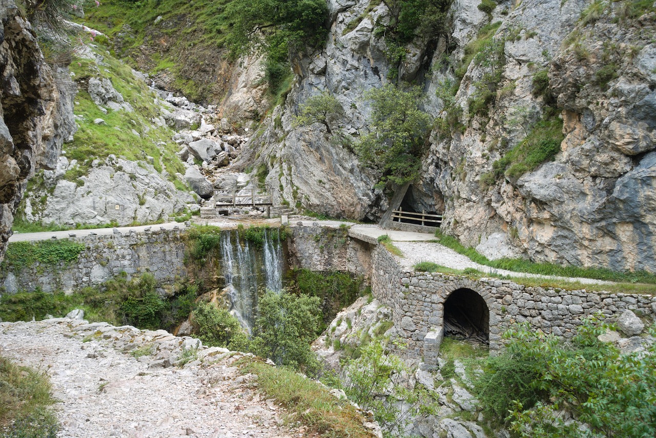 20+ Free Rutas Logisticas & Nature Images - Pixabay