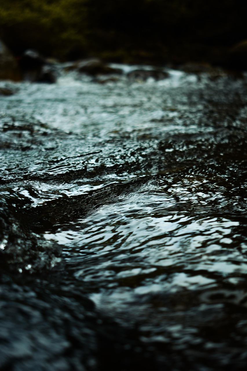 Stream Water Nature - Free photo on Pixabay