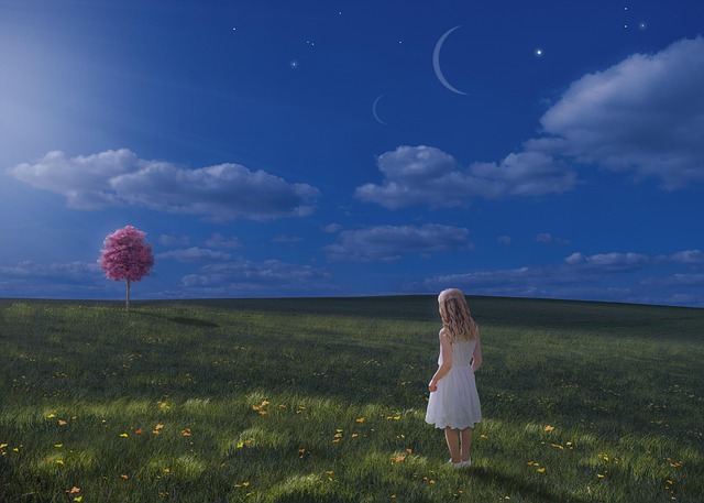 Download Girl, Dream, Tree. Royalty-Free Stock Illustration Image - Pixabay