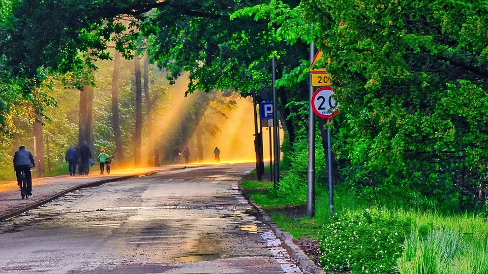 Sunbeams Usedom Avenue Free Photo On Pixabay sunbeams-usedom-avenue-free-photo-on-pixabay