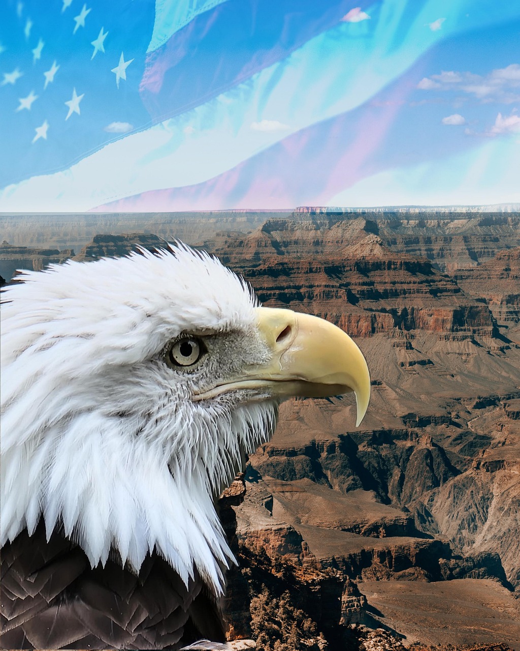 Usa Eagle Flag July - Free photo on Pixabay
