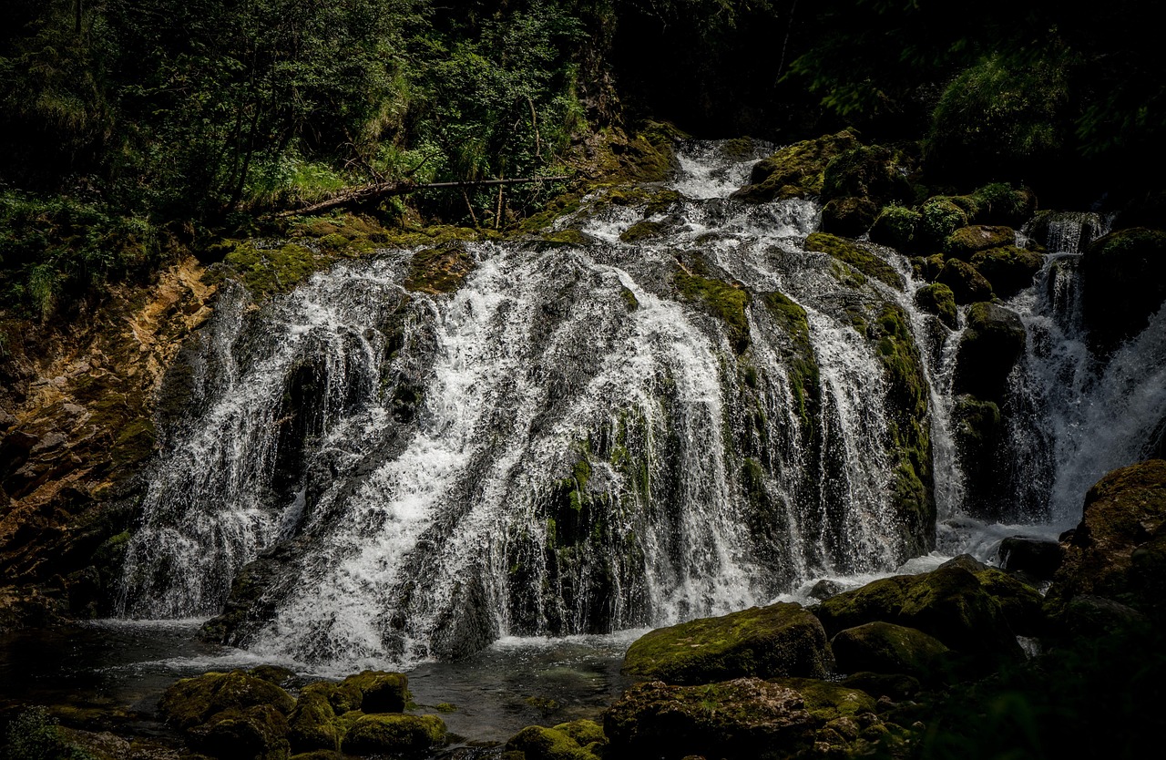 Flow Nature Wild Water - Free photo on Pixabay
