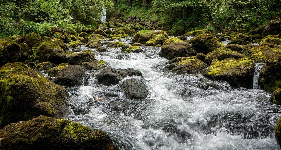 Wildwasser Wasser Fluss - Kostenloses Foto auf Pixabay - Pixabay