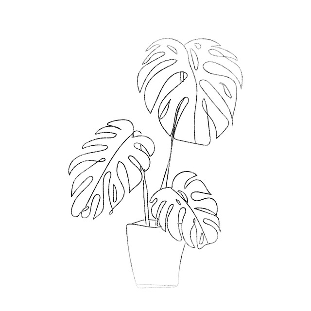 Download Monstera, Plant, Tropical. Royalty-Free Stock Illustration ...