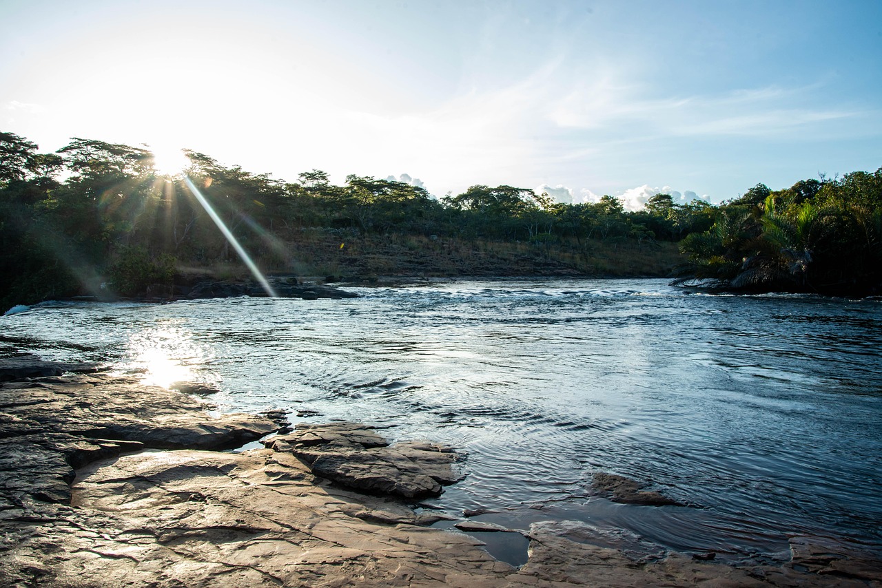 100+ Free Zambia & Nature Images - Pixabay