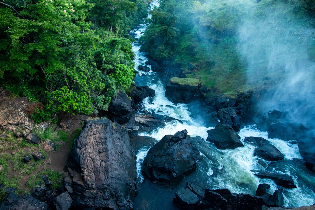 100+ Free Zambia & Nature Images - Pixabay
