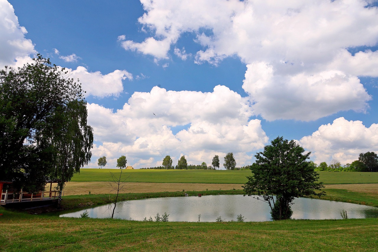 Pond Lake Countryside - Free photo on Pixabay - Pixabay