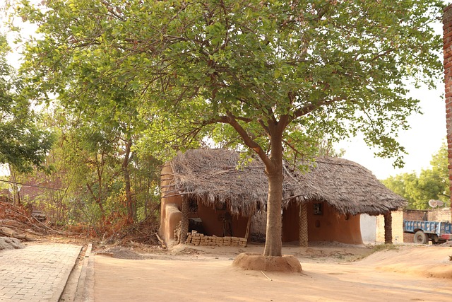 India Village Villages In - Free photo on Pixabay