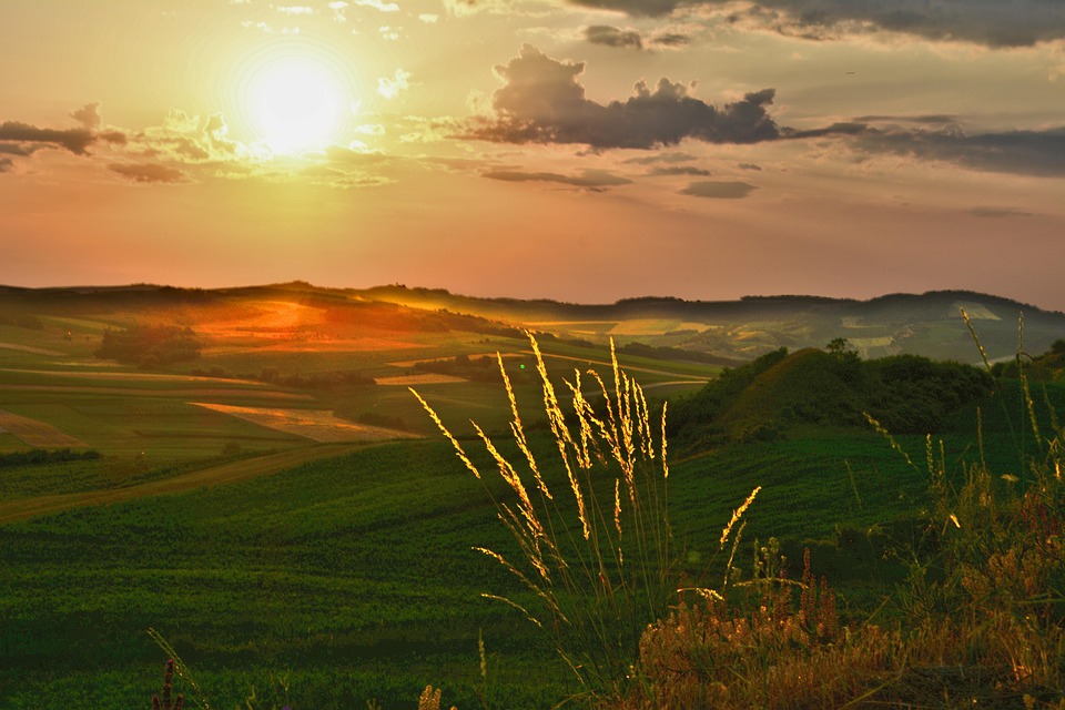 Field Twilight Evening - Free photo on Pixabay