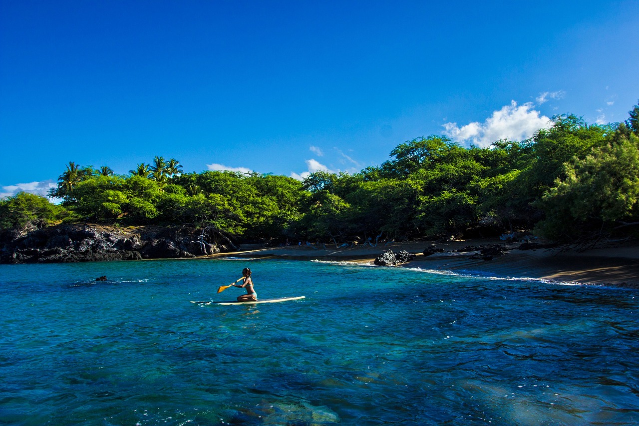 Strand 69 Hawaii Nagy Sziget - Ingyenes fotó a Pixabay-en - Pixabay