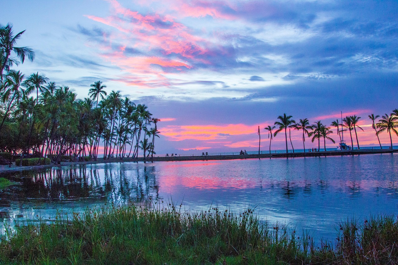 Palm Trees Ocean Sunset Tropical - Free photo on Pixabay - Pixabay