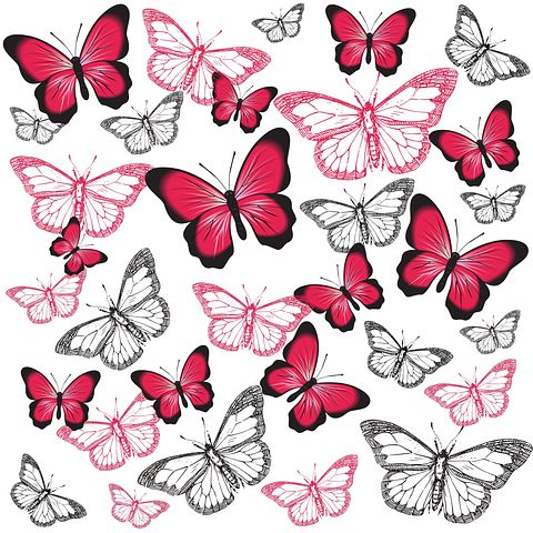 30+ Free Butterfly Clip Art & Clip Art Images - Pixabay