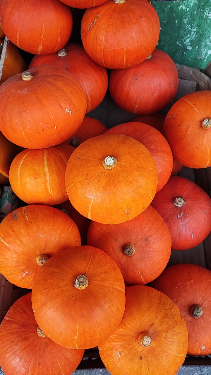 Citrouille Orange Des Légumes - Photo gratuite sur Pixabay - Pixabay
