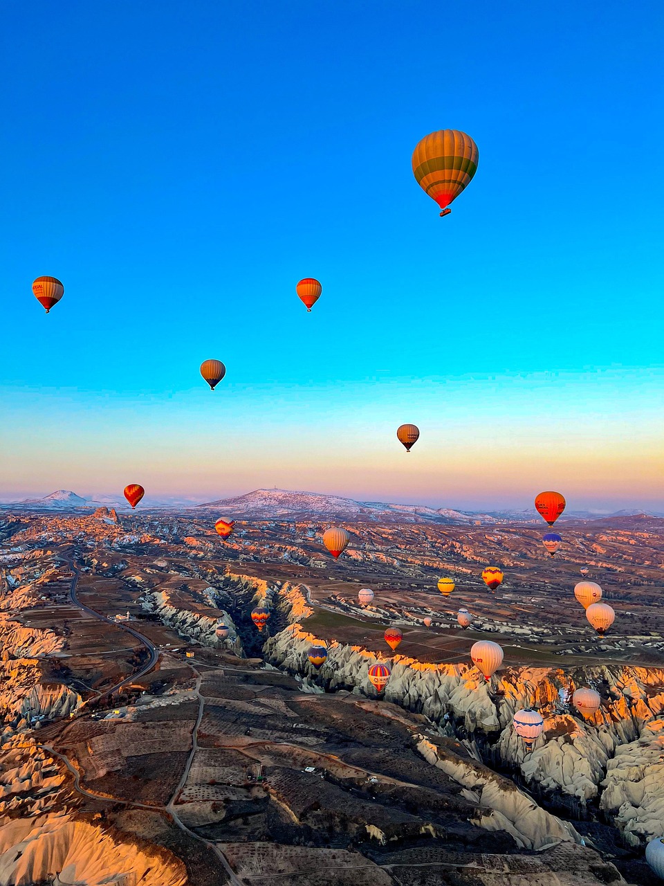 Cappadocia Tacchino Palloni Ad - Foto gratis su Pixabay - Pixabay