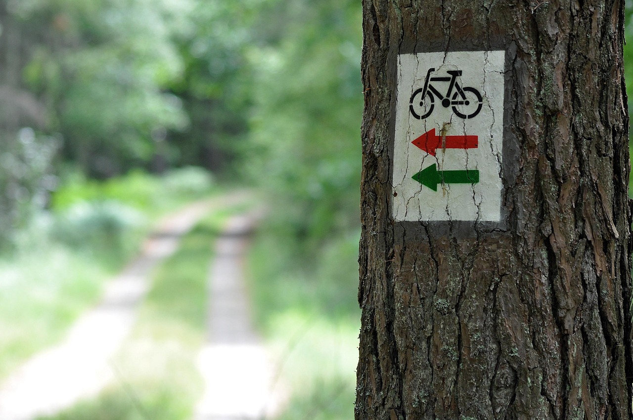 Biking Trail Hiking Walking - Free photo on Pixabay - Pixabay