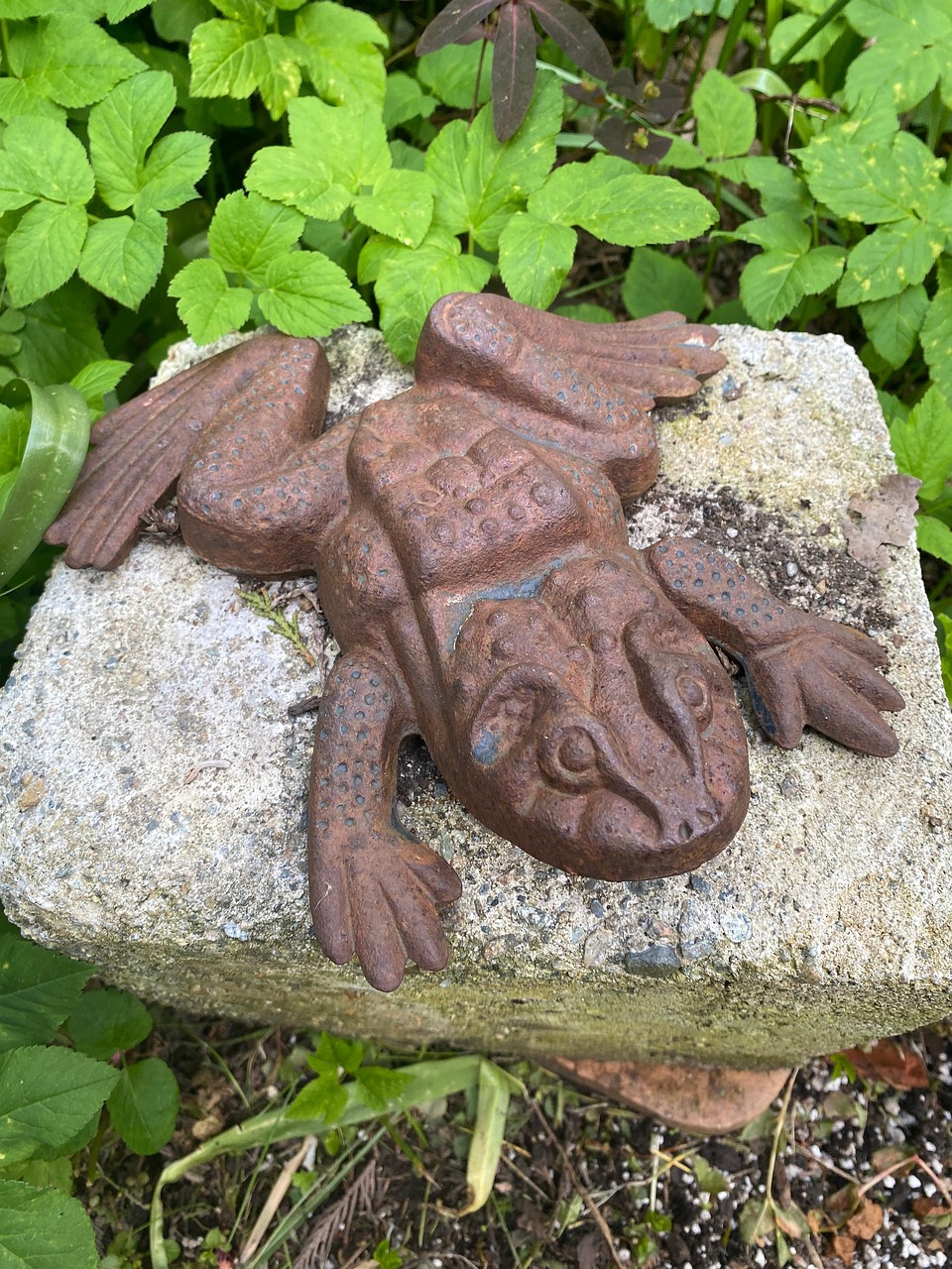 Frog Garden Landscape - Free photo on Pixabay - Pixabay