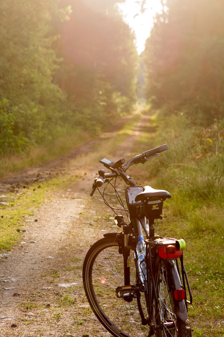 Bike Trail Nature - Free photo on Pixabay
