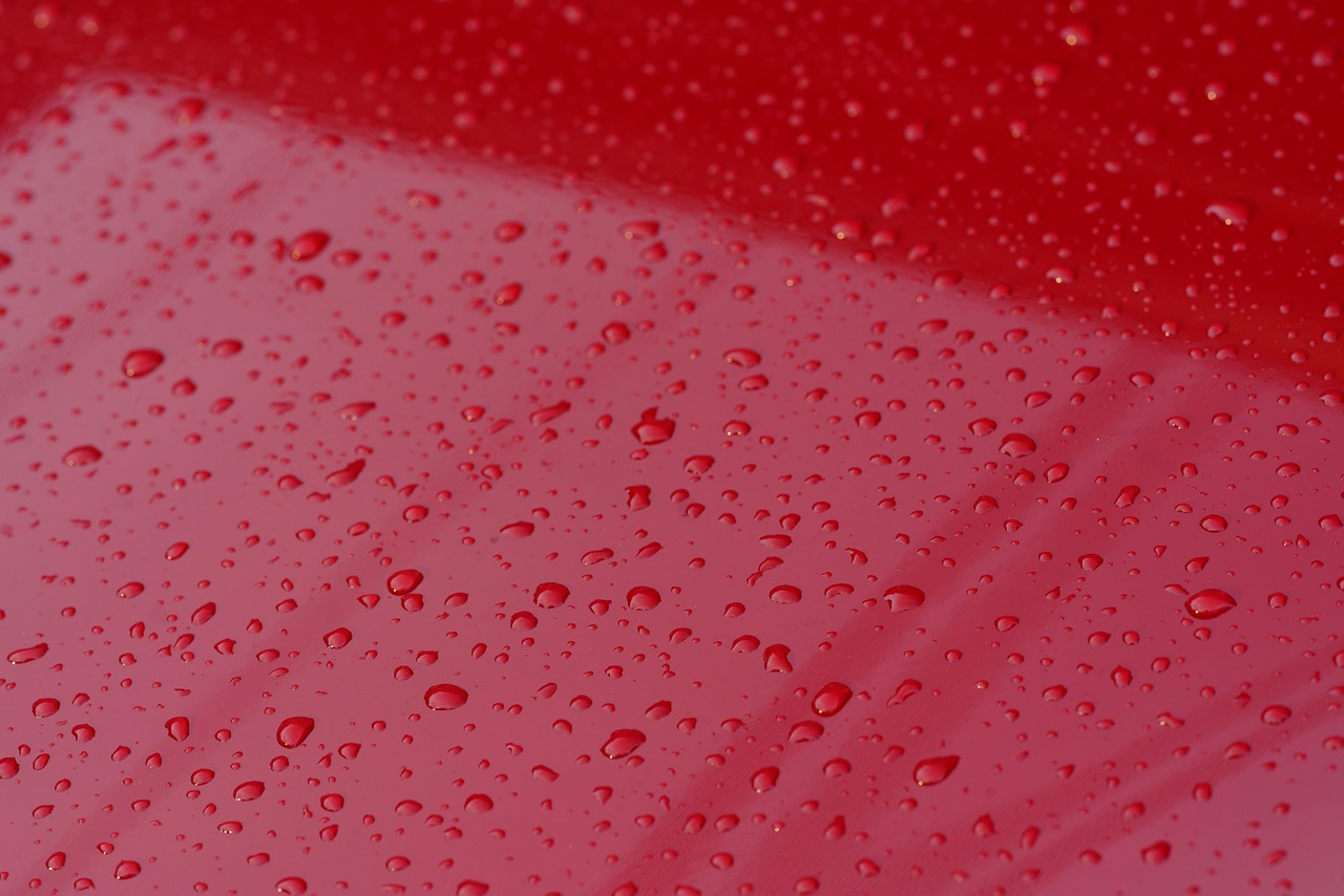 Raindrops Wet Red - Free photo on Pixabay - Pixabay