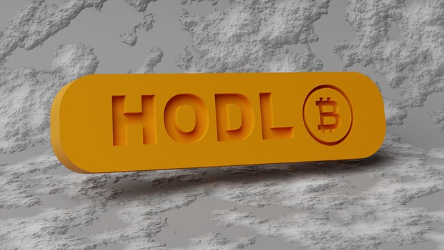 Bitcoin Criptografia Hodl - Foto gratuita no Pixabay - Pixabay
