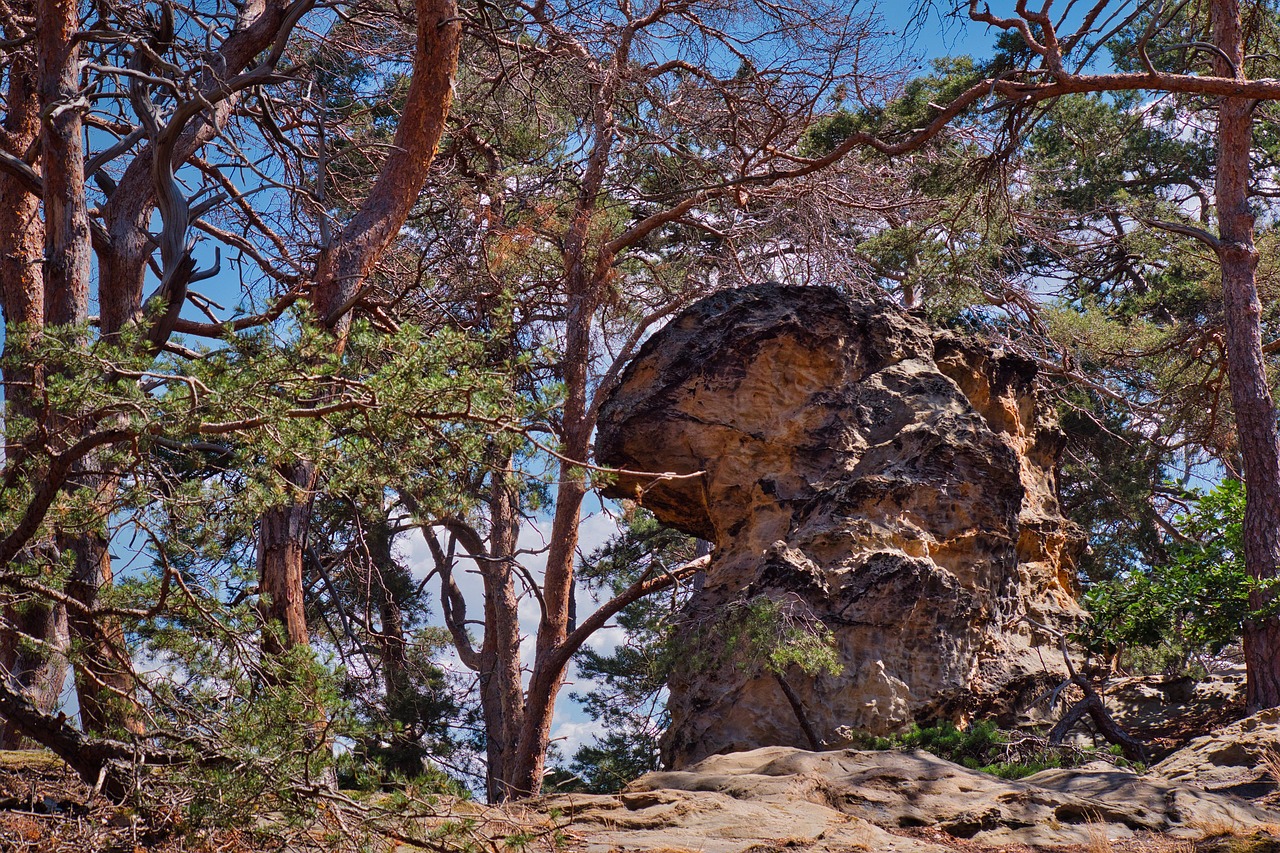 Sandstein Felsen Harz - Kostenloses Foto auf Pixabay - Pixabay