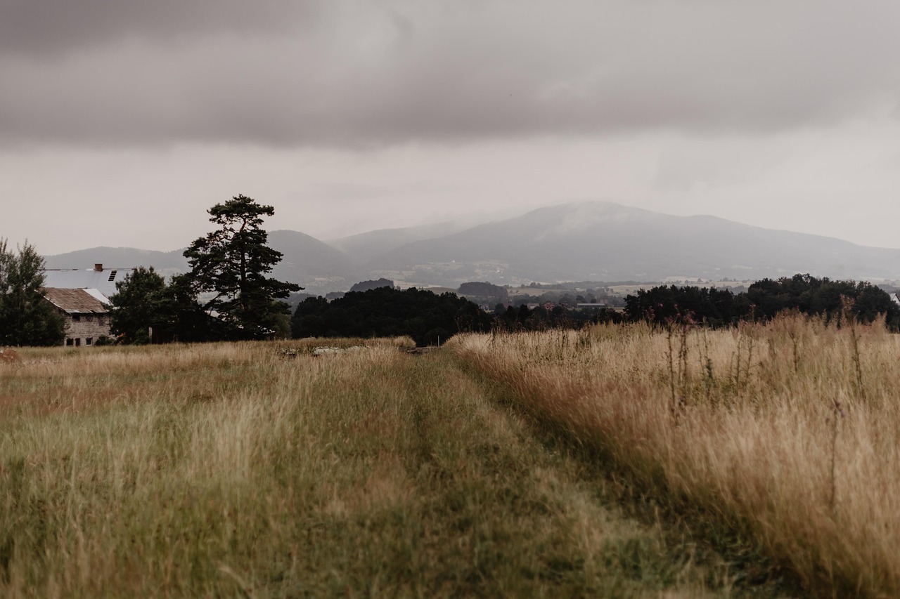 Field Path Grass - Free photo on Pixabay - Pixabay