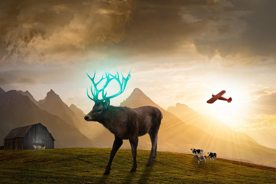 Countryside Rural Mountain - Free photo on Pixabay