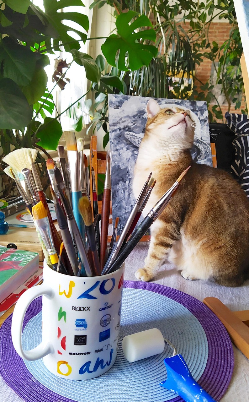 Cat Workshop - Free photo on Pixabay - Pixabay