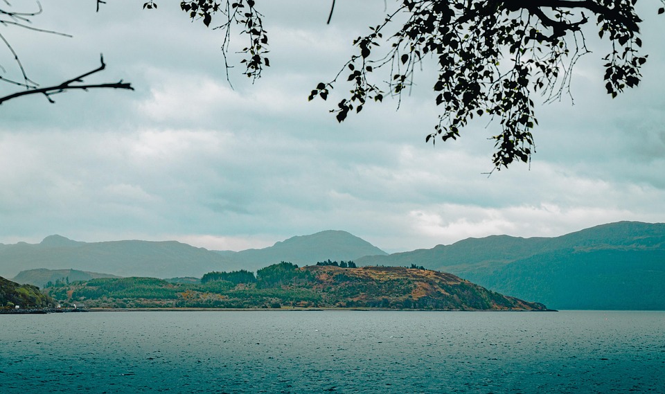 Lake Water Branches - Free photo on Pixabay - Pixabay