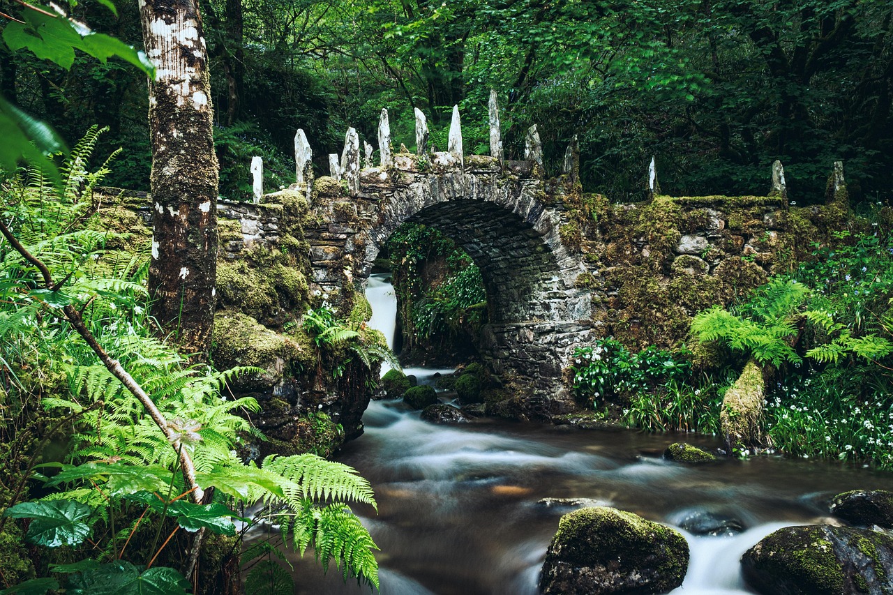 Nature Forest Bridge River Scotland Fall Rocks UK, Scotland, Dunkeld,