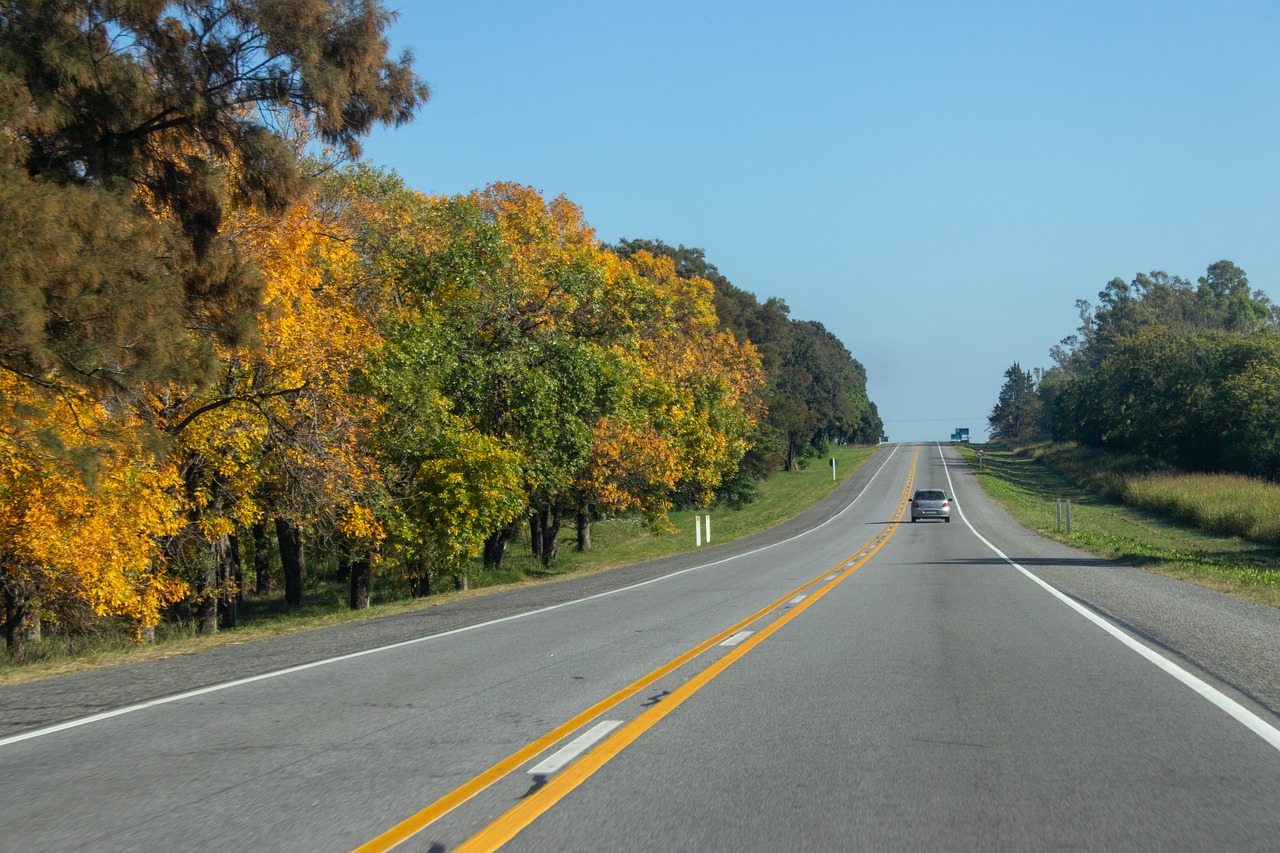 Otoño La Carretera Bosque - Foto gratis en Pixabay - Pixabay