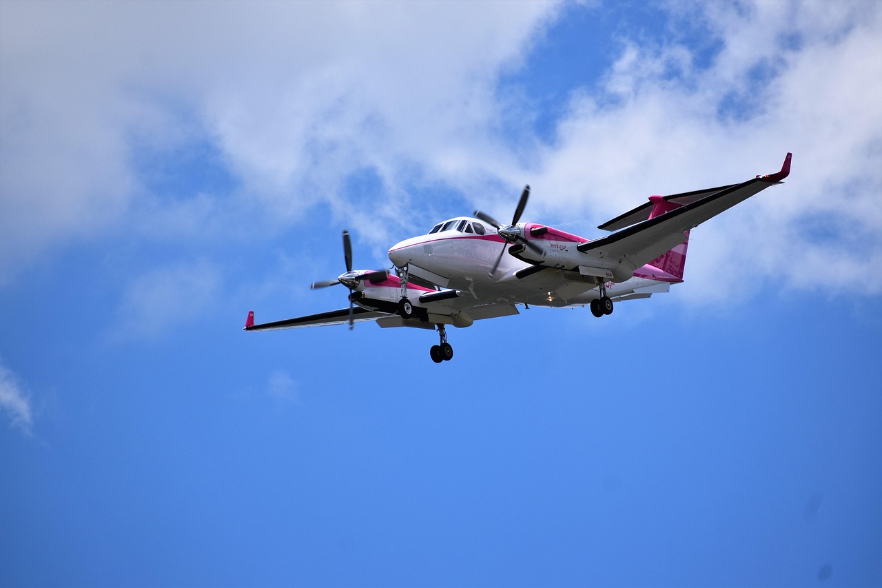 Avion Privado Chárter Jet Rosado - Foto gratis en Pixabay - Pixabay