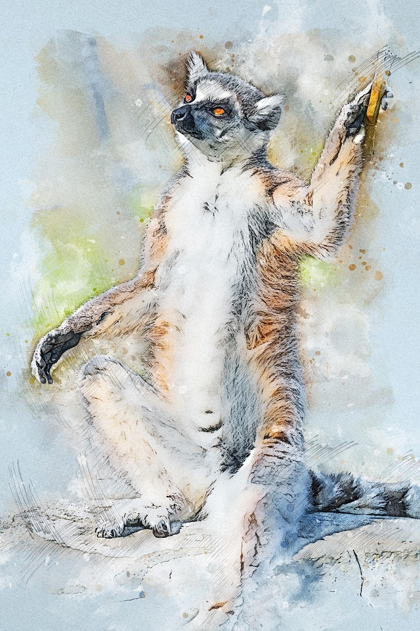 Lemur Tier Tierwelt - Kostenloses Bild auf Pixabay