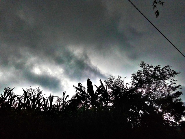 Black Nature - Free photo on Pixabay