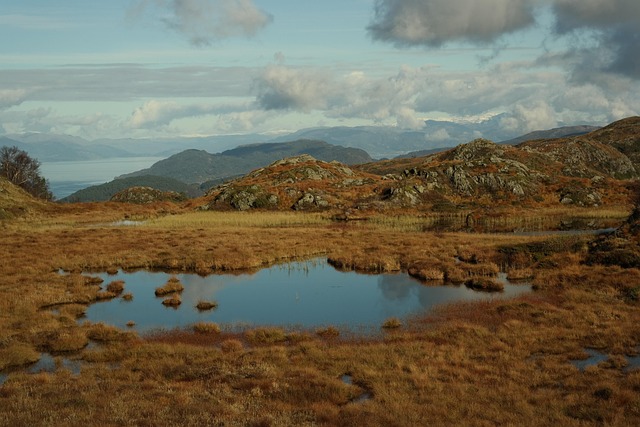 Landscape Scenery Tarn - Free photo on Pixabay - Pixabay