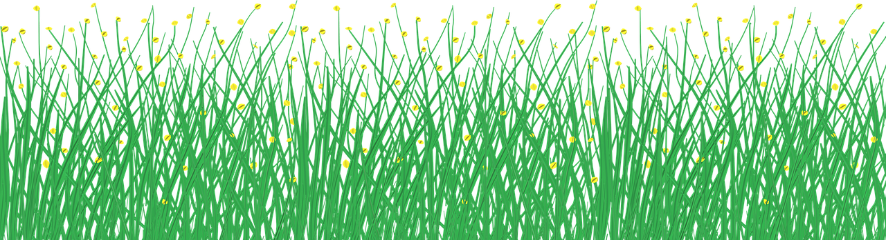 Explore 21 534 Free Grass Pattern Illustrations Download Now Pixabay