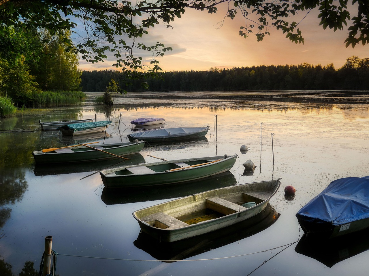 Boats Lake Nature - Free photo on Pixabay