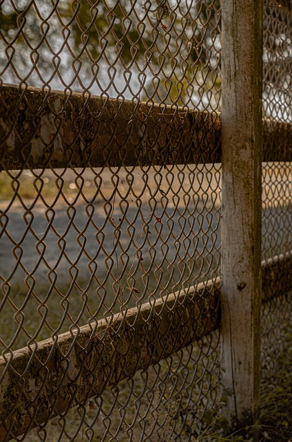 20,000+ Free Mesh Texture & Mesh Images - Pixabay