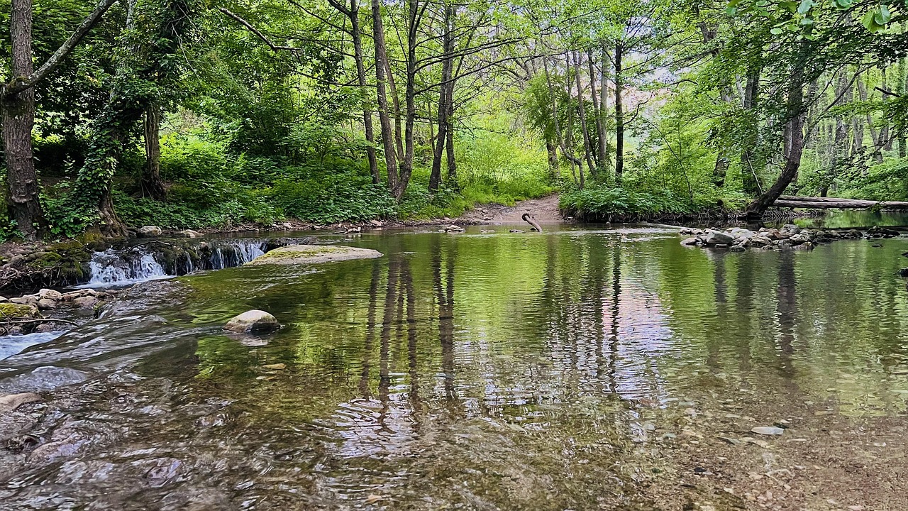 Water Lake Flow - Free photo on Pixabay - Pixabay