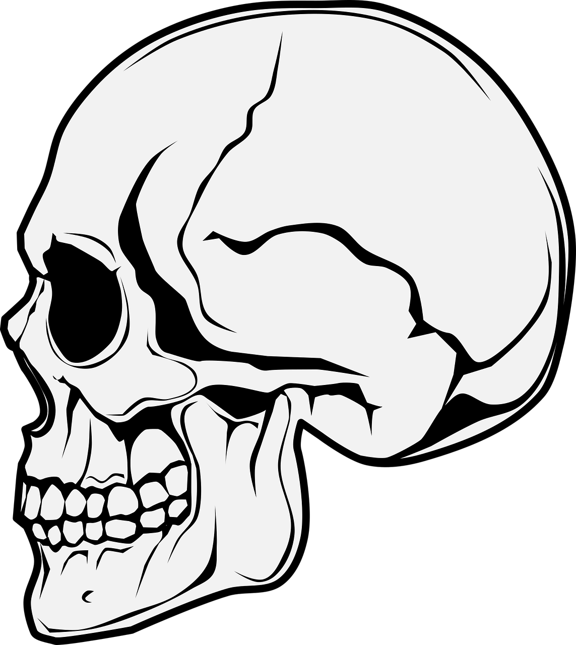 Skeleton Head Drawing Side View Skeleton Head Drawing Side View