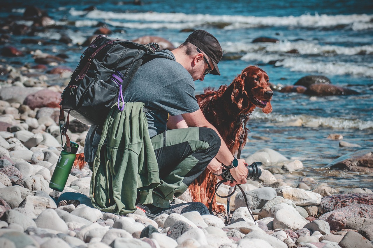 Irish Setter Beach Photographer - Free photo on Pixabay