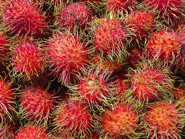 Ramboutan Fruit De - Photo gratuite sur Pixabay - Pixabay