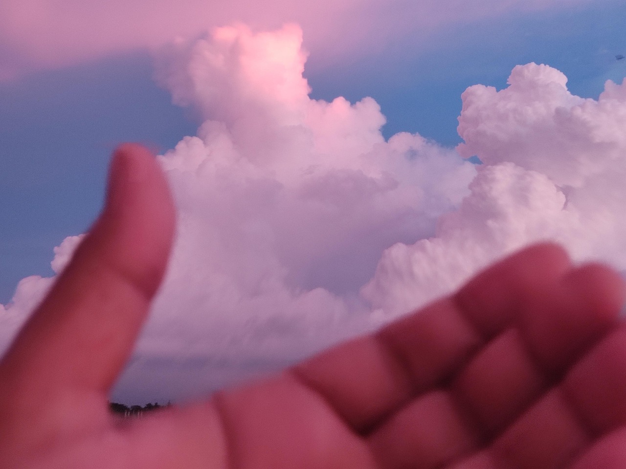 Touch The Sky Sunset Free Photo On Pixabay Pixabay