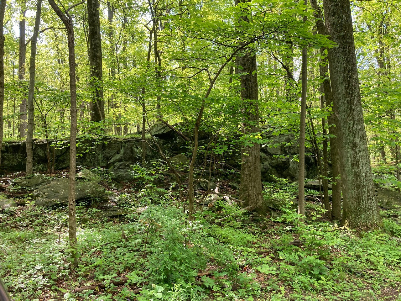 Catoctin Mountain Park Maryland - Free photo on Pixabay - Pixabay