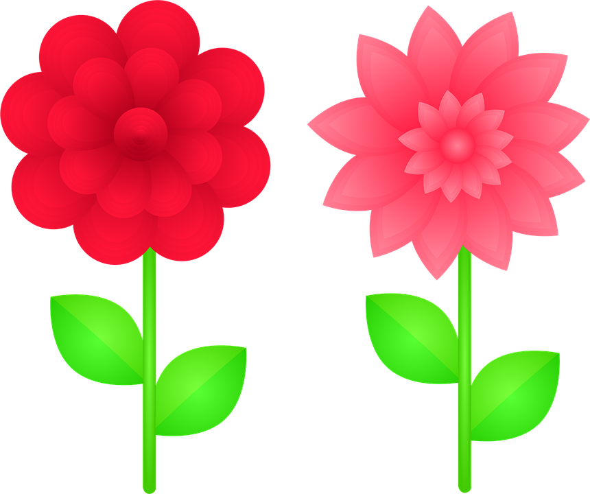 Download Flowers, Red Flower, Pink Flower. Royalty-Free Vector Graphic ...
