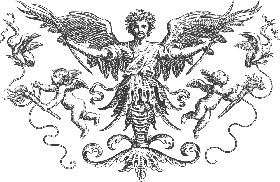 Download Angel, Wing, Birds. Royalty-Free Vector Graphic - Pixabay