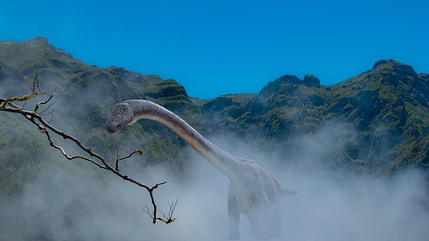 60+ Free Arbre Dinosaure & Dinosaur Images - Pixabay
